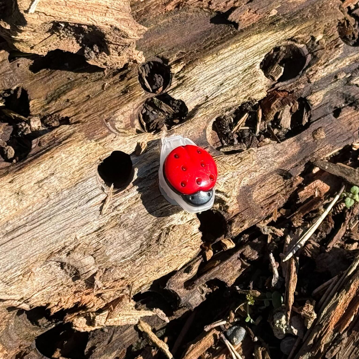 Ladybug Nano Tube Geocache Container – Shop Geocaching